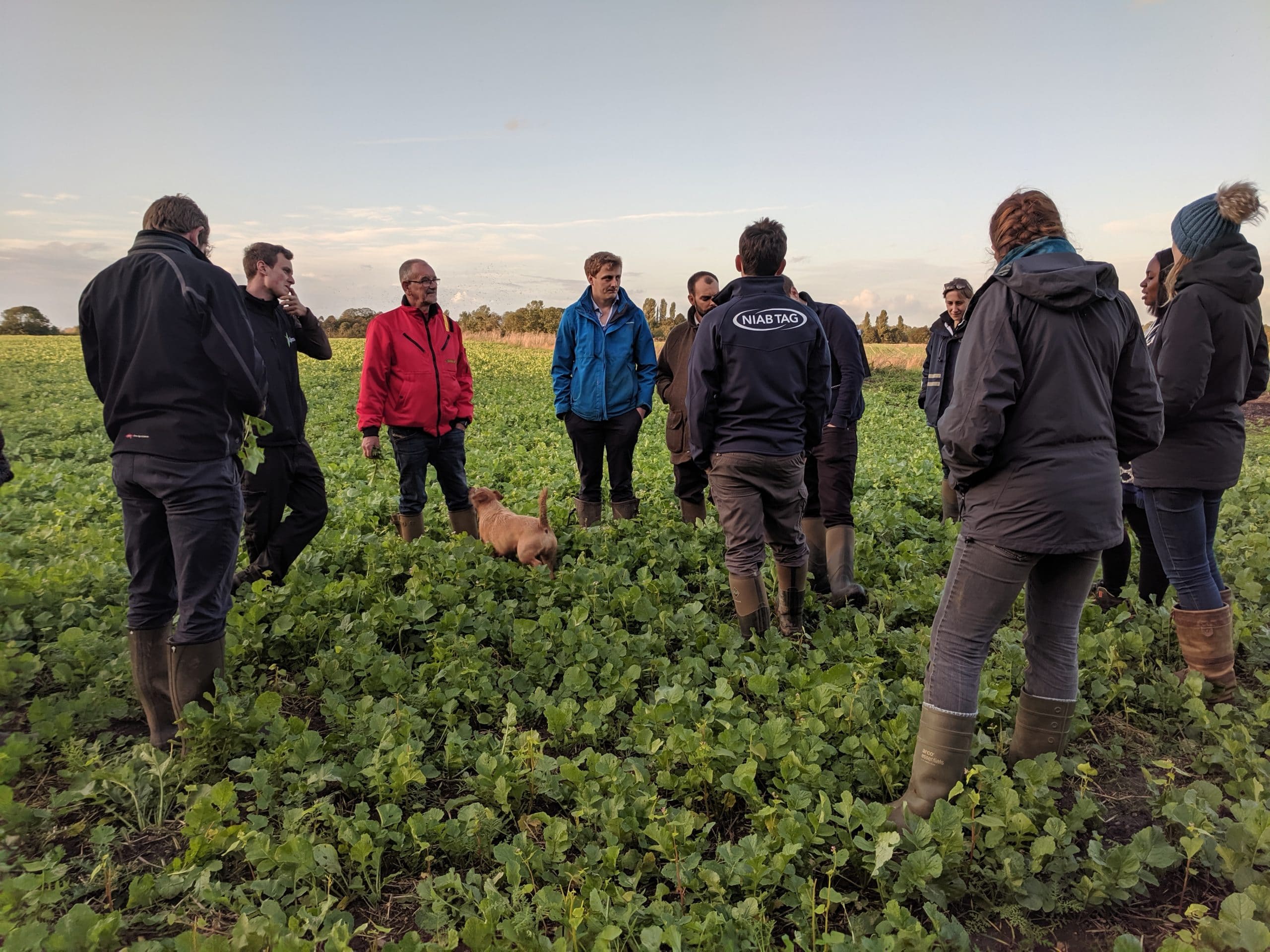 Blog: Upper Wensum Cluster Farm Group - Agri-TechE