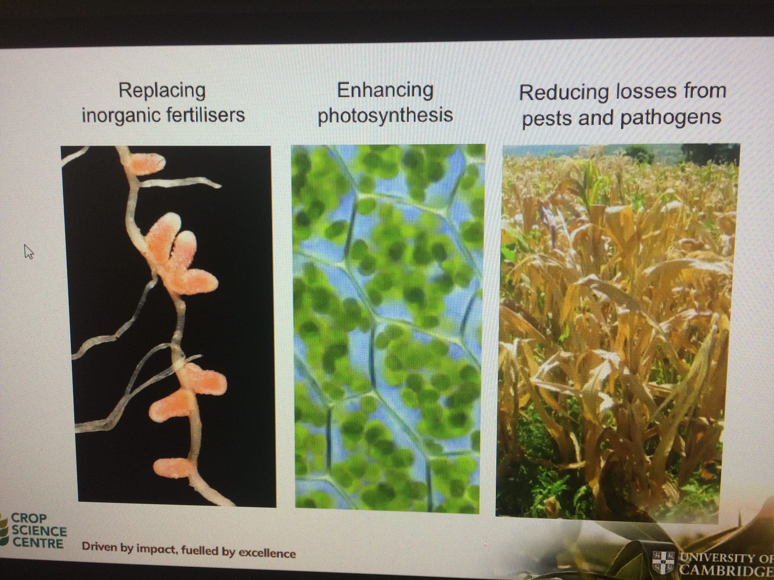 Launch of the Crop Science Centre - the start of a special journey ...