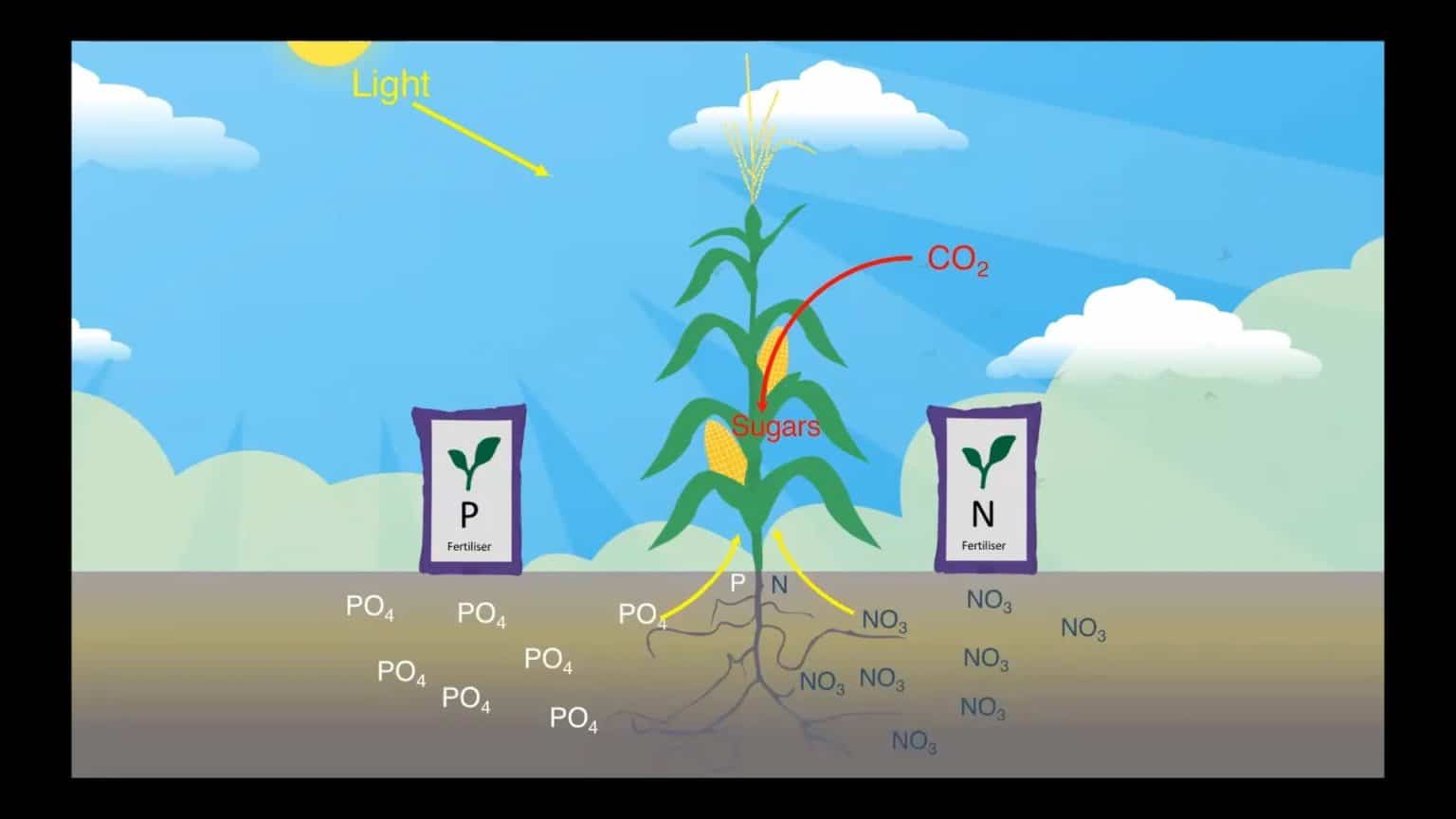 Sustainable solutions for global food security – Giles Oldroyd