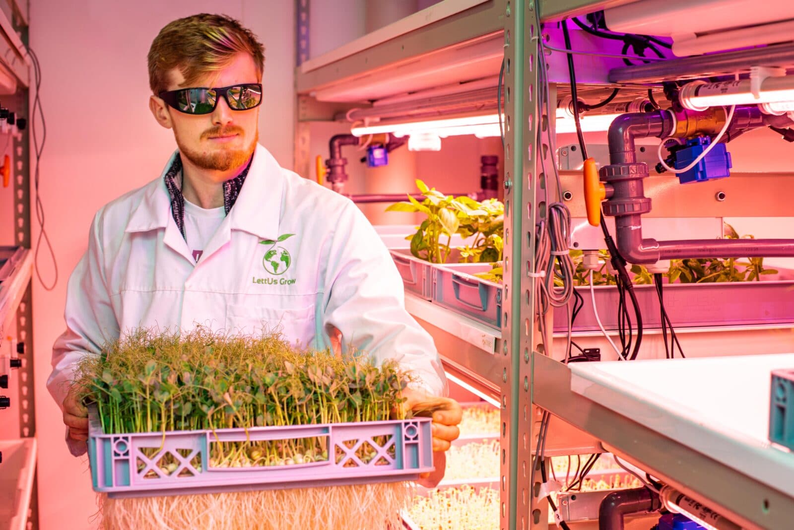 Controlled Environment Agriculture - from glasshouse to vertical farm ...