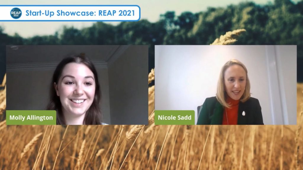 Albotherm's greenhouse coating maintains optimum temperature - Agri-TechE