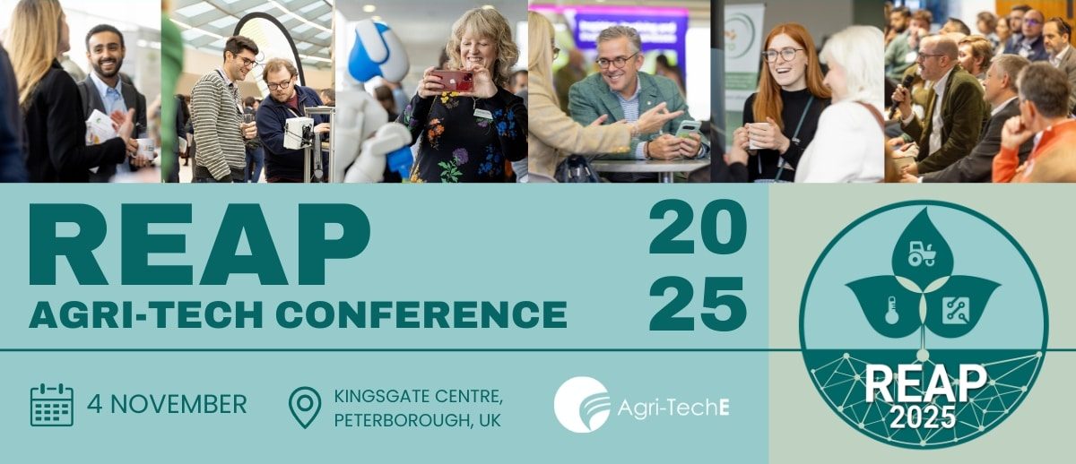REAP’s Start-Up Showcase: Where are they now?