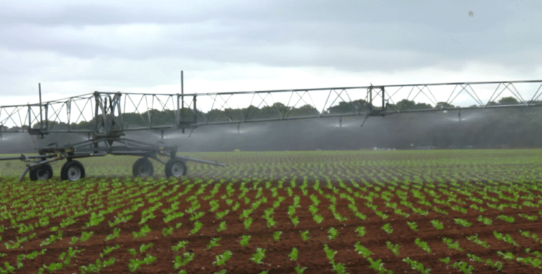 Innovation for water management in agriculture