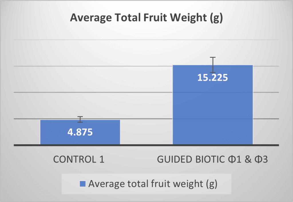 Managing the health of the crop microbiome - Agri-TechE
