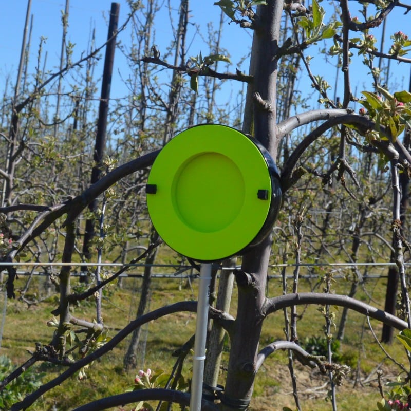 The future of agriculture – frugal, high-tech or diversified? | The ...