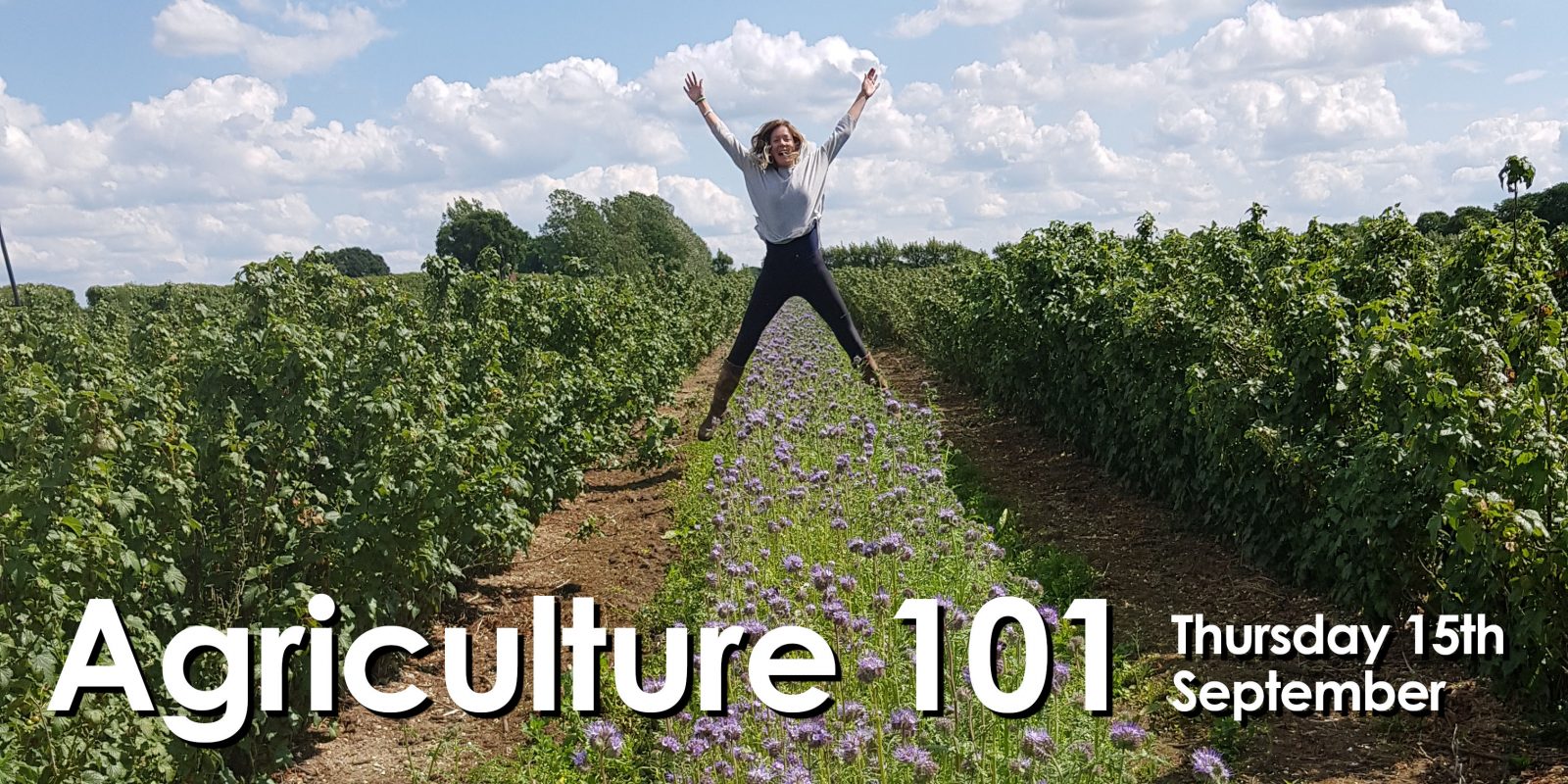 Gain an insider view at Agriculture 101 - Agri-TechE