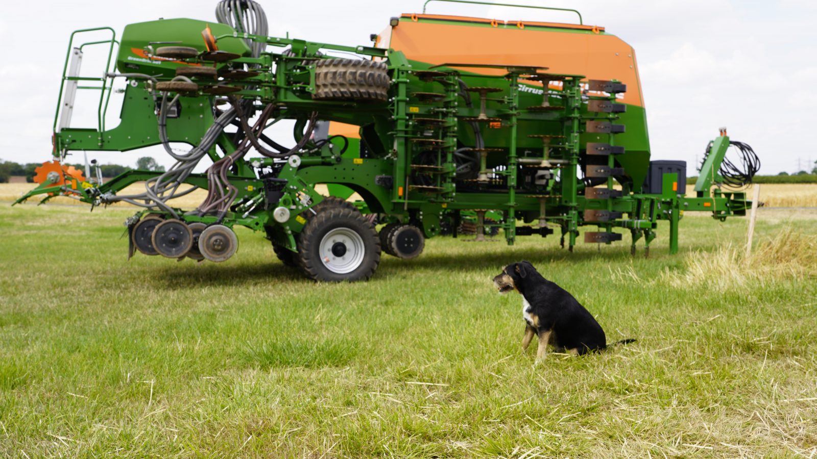 Prescription field maps direct strategic plant protection