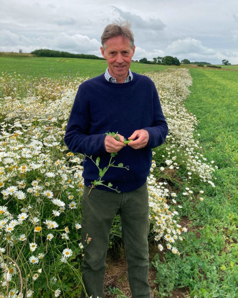 Building resilience to risk in the stretch zone