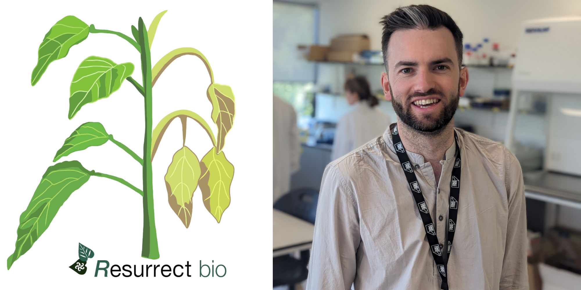 Re-engineer the disease response in plants - Agri-TechE