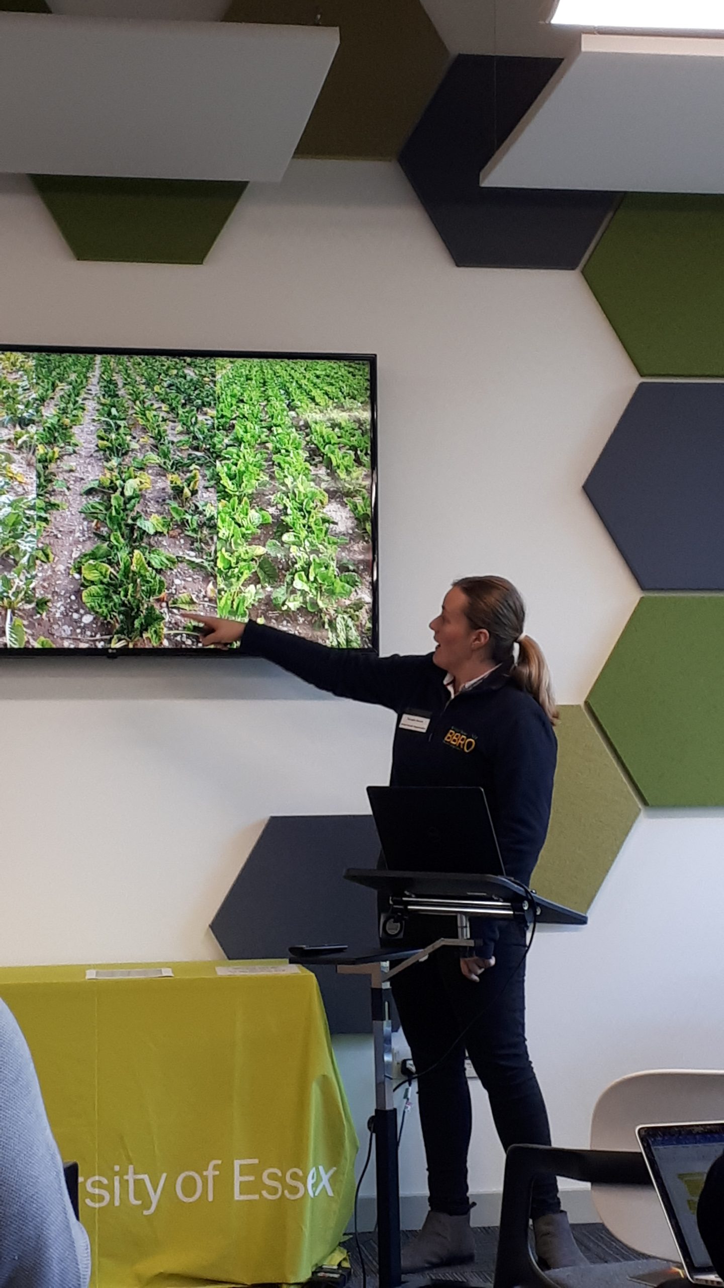 ATW23: Heat and Drought – University of Essex