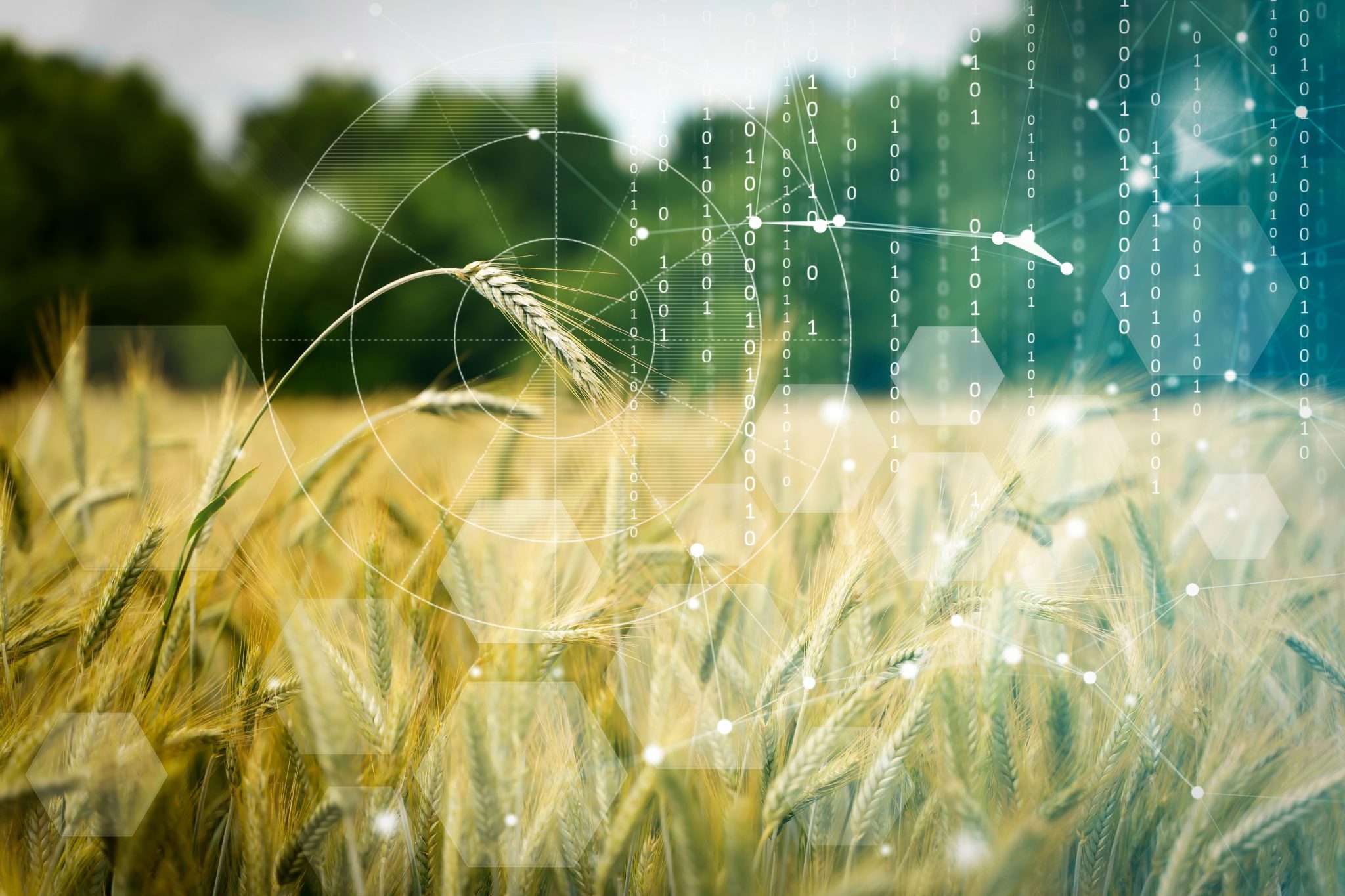 Map of Ag: Annual Horizon 2024 Brochure – An Insightful Outlook for the ...