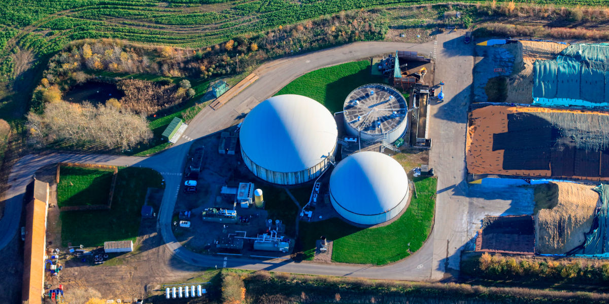 Future Biogas says green energy offers opportunities for farmers - Agri ...