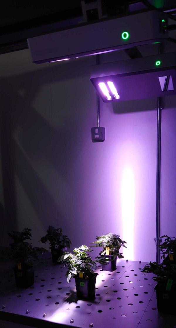 University of Essex opens £3m plant lab to tackle climate change - Agri ...