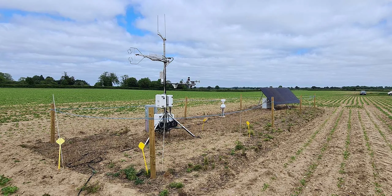 Second report from the TMAF Flux Towers monitoring carbon