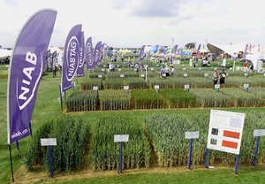 Cereals – NIAB celebrates 100 years of plant science