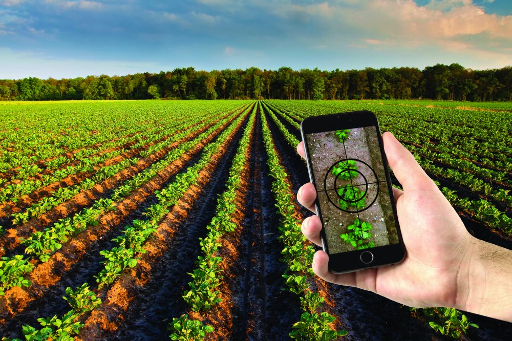 Agrimetrics brings Potato Yield Model to farmers’ fingertips